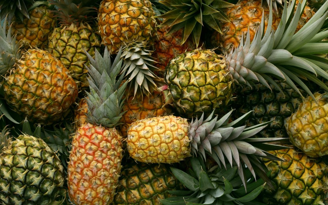 Mission Accomplished: Pineapple Fund Bids Farewell After $55M in ...