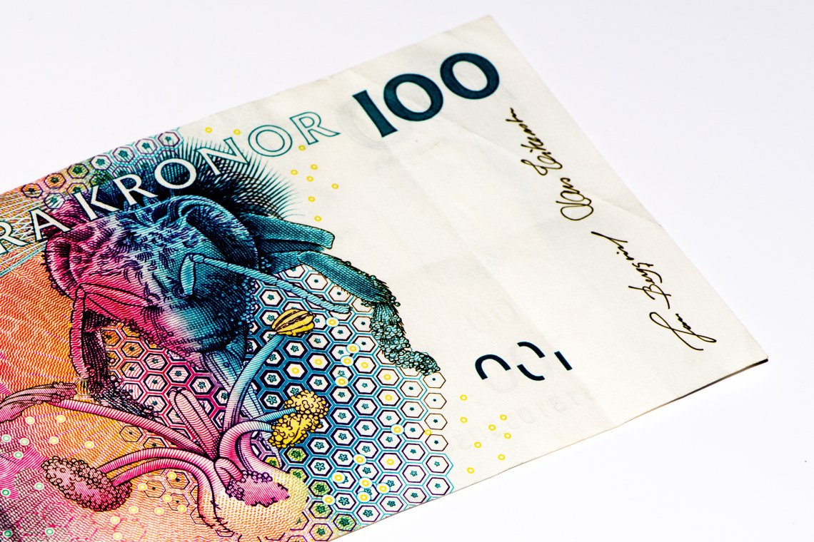 Without a Digital Currency, Sweden Faces the Privatization of Money ...