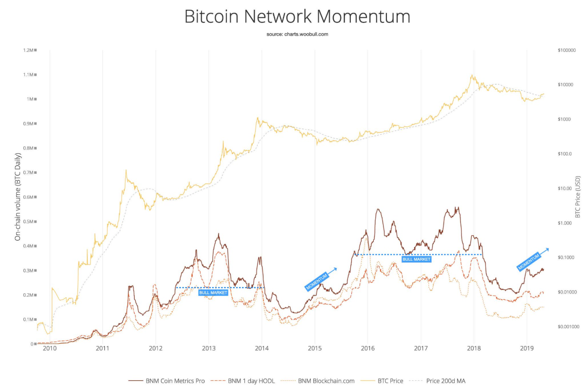 Bitcoin 'HODL Waves' Chart Shows Price Building Momentum | Bitcoinist.com