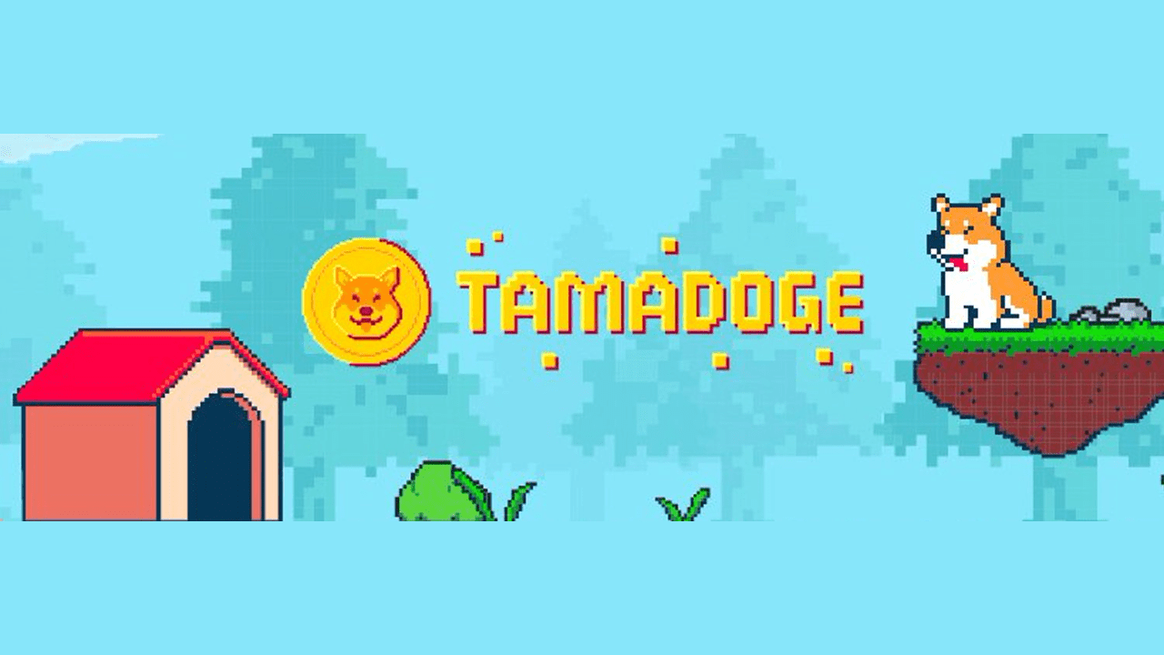 Memecoins Overall Value is Decreasing: Learn Why TAMA Will Turn the ...