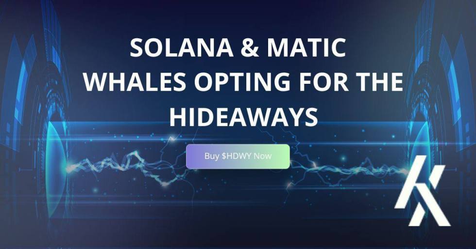 New Metrics Show Solana (SOL) And Polygon (MATIC) Whales Interested In The Hideaways ...