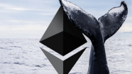 ETH Whales Snag SHIB As Shibarium Nears Launch Date