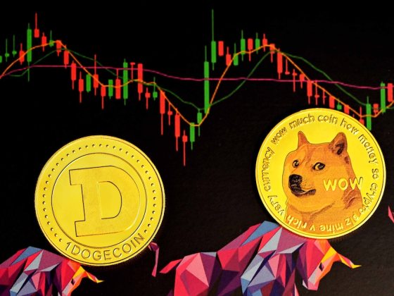 Here's Why The Dogecoin And Shiba Inu Prices Crashed Today | Bitcoinist.com