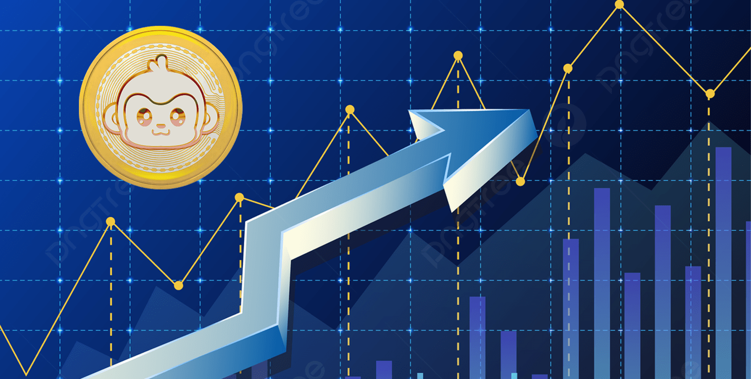 An Investment for the Future: Mooky Rises to the Top as the Most ...