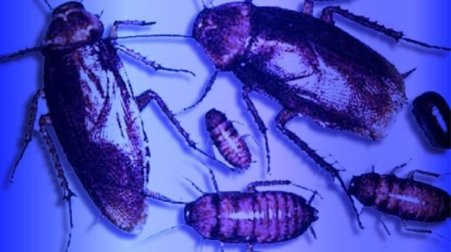 Spot A Bug In ChatGPT? Report It And Earn Up To $20,000