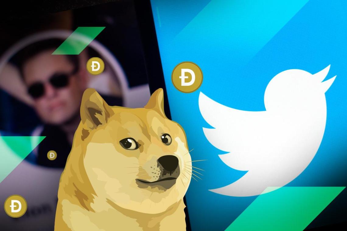 New Twitter CEO A Dogecoin Lover? Profile Reveals A Surprise