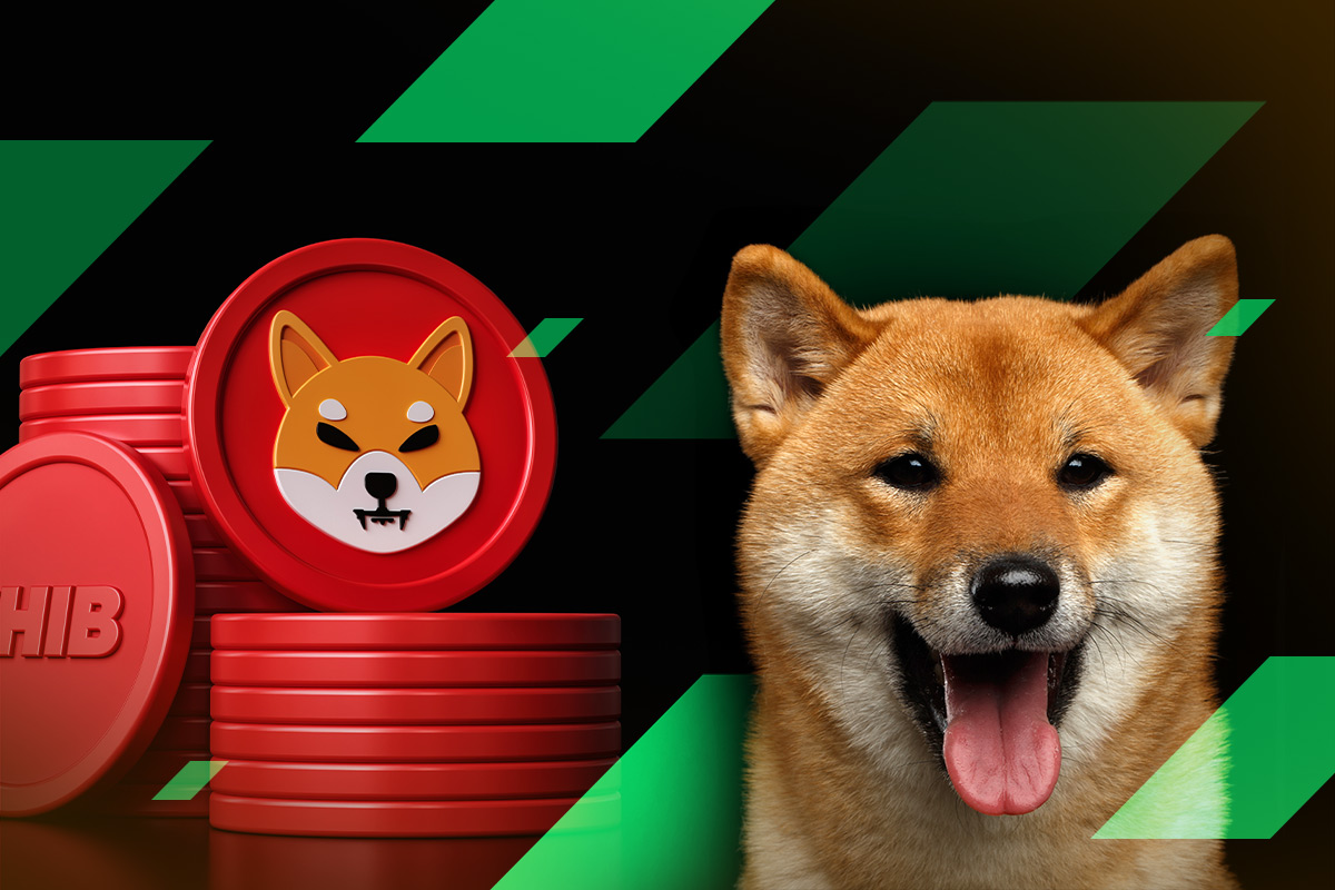Crypto Investor Reveals How He Became A Billionaire With Shiba Inu ...