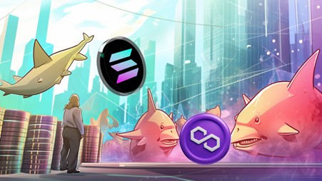 Market Shift Sees DeFi Whales Pick a New Market Entrant Over Polygon (MATIC) and Solana (SOL ...