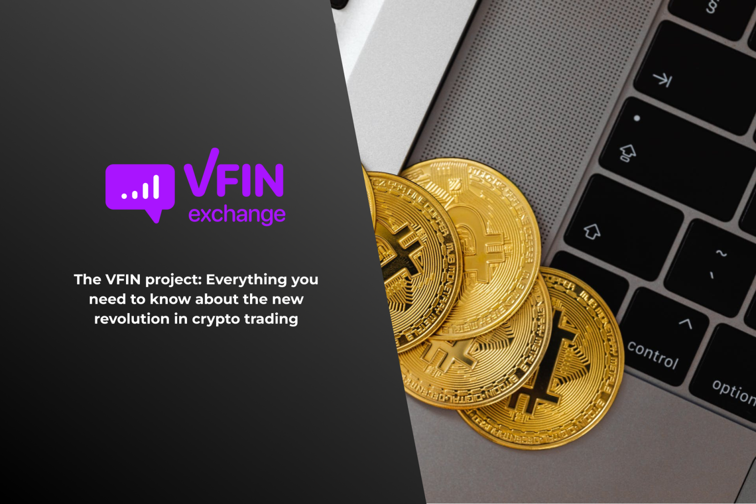 The VFIN project: Everything you need to know about the new revolution ...