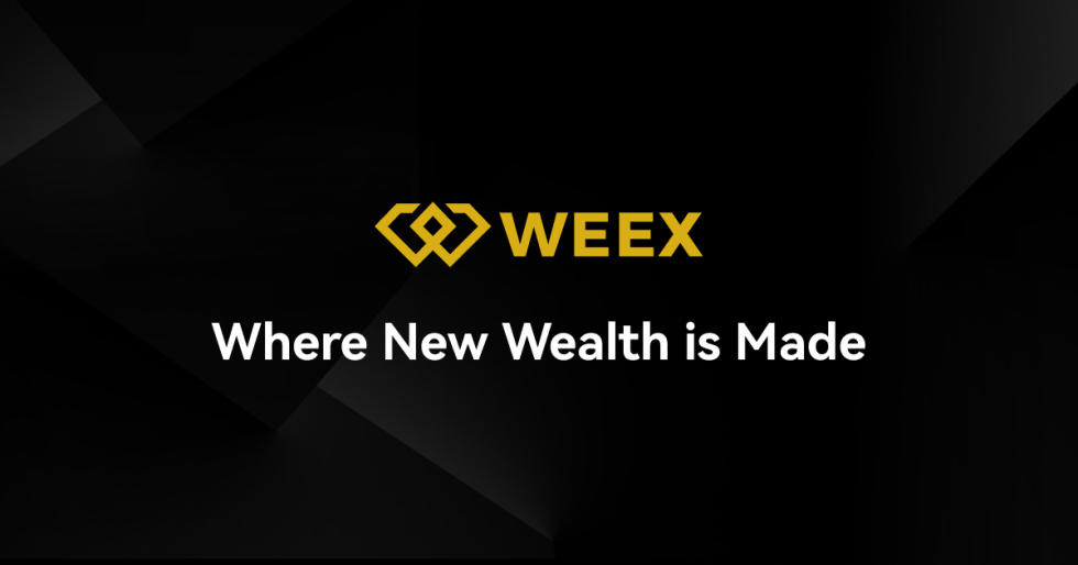 Weex Exchange: A Legit Platform? Detailed Review of Its Features and ...
