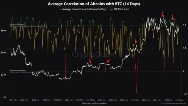 Bitcoin's Influence On Altcoin Market: Expert Sheds Light On ...