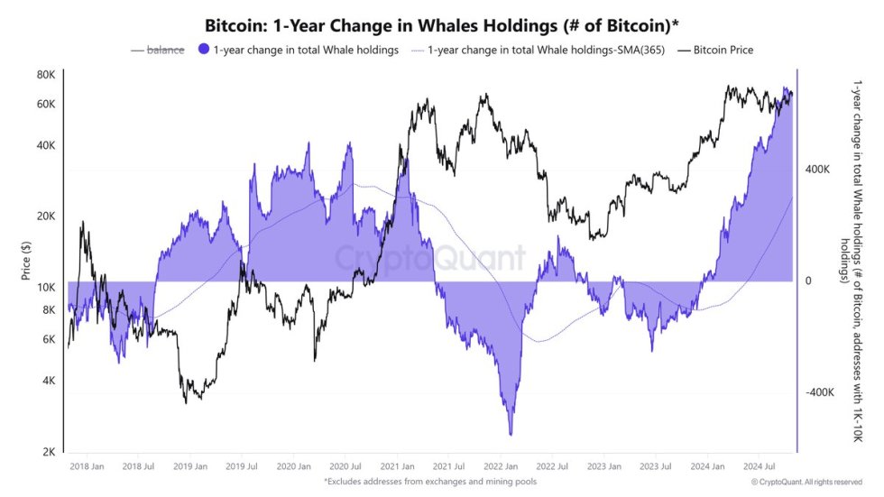 Bitcoin Institutional Demand Is Rising – Crucial Data Reveals BTC Whales Keep Growing ...