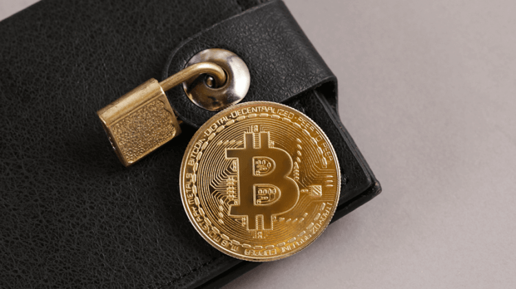 Dompet Crypto Terbaik 2026: Pengertian, Cara Kerja, dan Tips