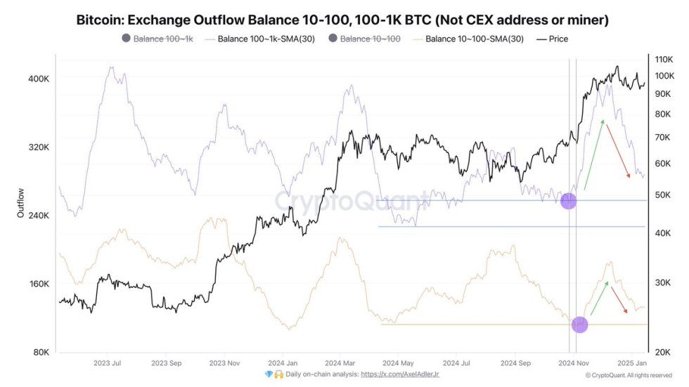 Bitcoin Whale Accumulation Intensifies – Data Reveals 100-1K BTC Cohort ...