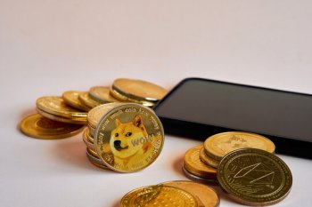 Hot Doge: Oscar Mayer's Dogecoin Hotdogs Sell At Auction For $15k ...