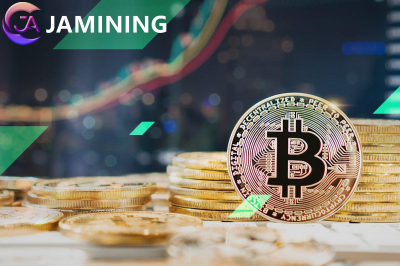 Harvard (Nocoiner) Professor Predicts Bitcoin Price Crash to $100 ...