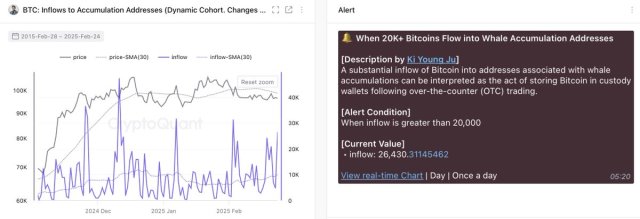 Bitcoin Whales Are Buying – Metrics Show 26,430 BTC Flowed Into Whale Accumulation Addresses ...