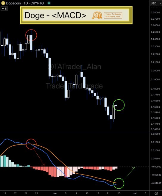 Dogecoin Flashes Possible Trend Reversal With Key Bullish Cross ...