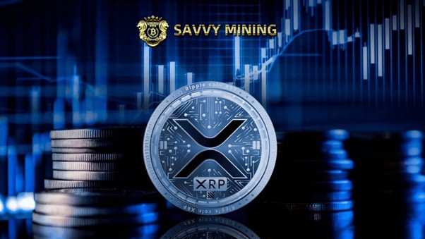 How to make $10,000 a day: Cryptocurrency enthusiasts live their dreams on the SAVVY MINING ...