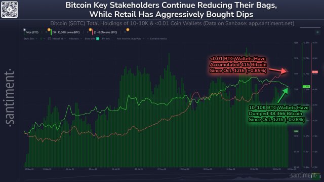 Bitcoin Whales Cash Out, Retail Doubles Down - BTC Ownership Structure ...