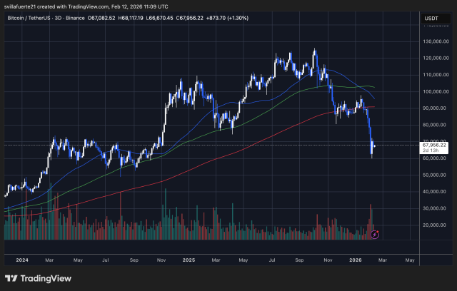 Bitcoin Market Stress Triggers Whale Activity: Selling Pressure Or Risk ...